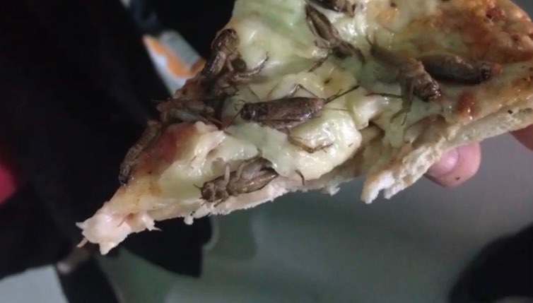 A apărut prima pizza cu greieri prăjiţi. Cât costă și unde s-au vândut ...