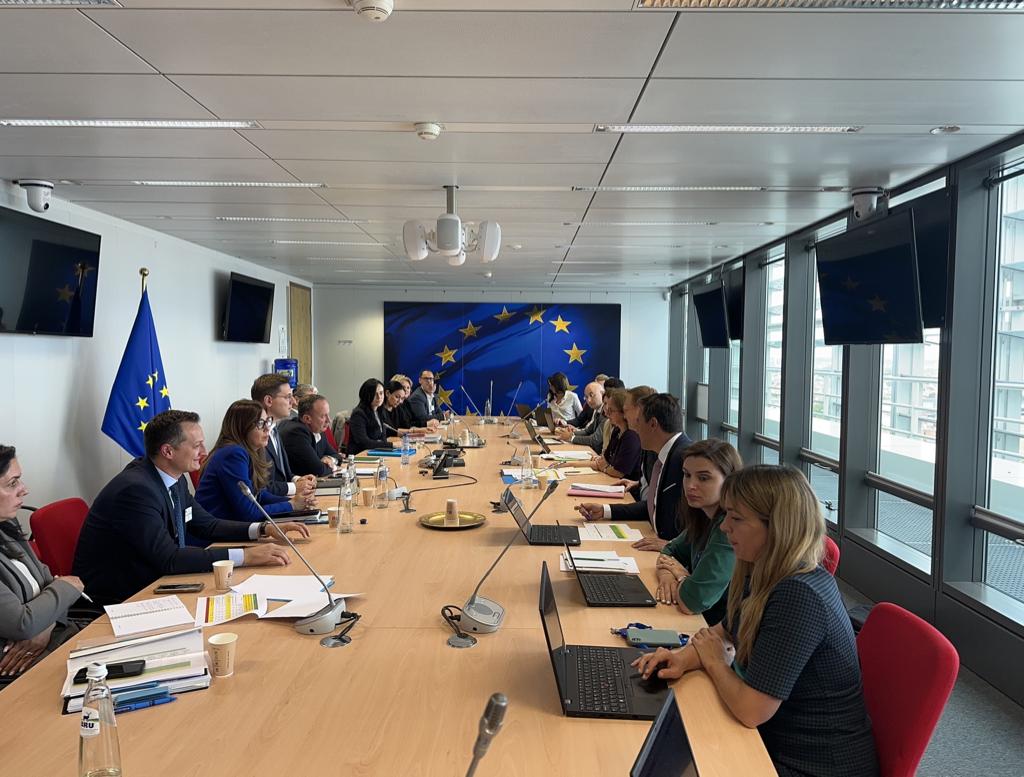 Cine este Celine Gauer, directoarea din Comisia Europeană care a ...